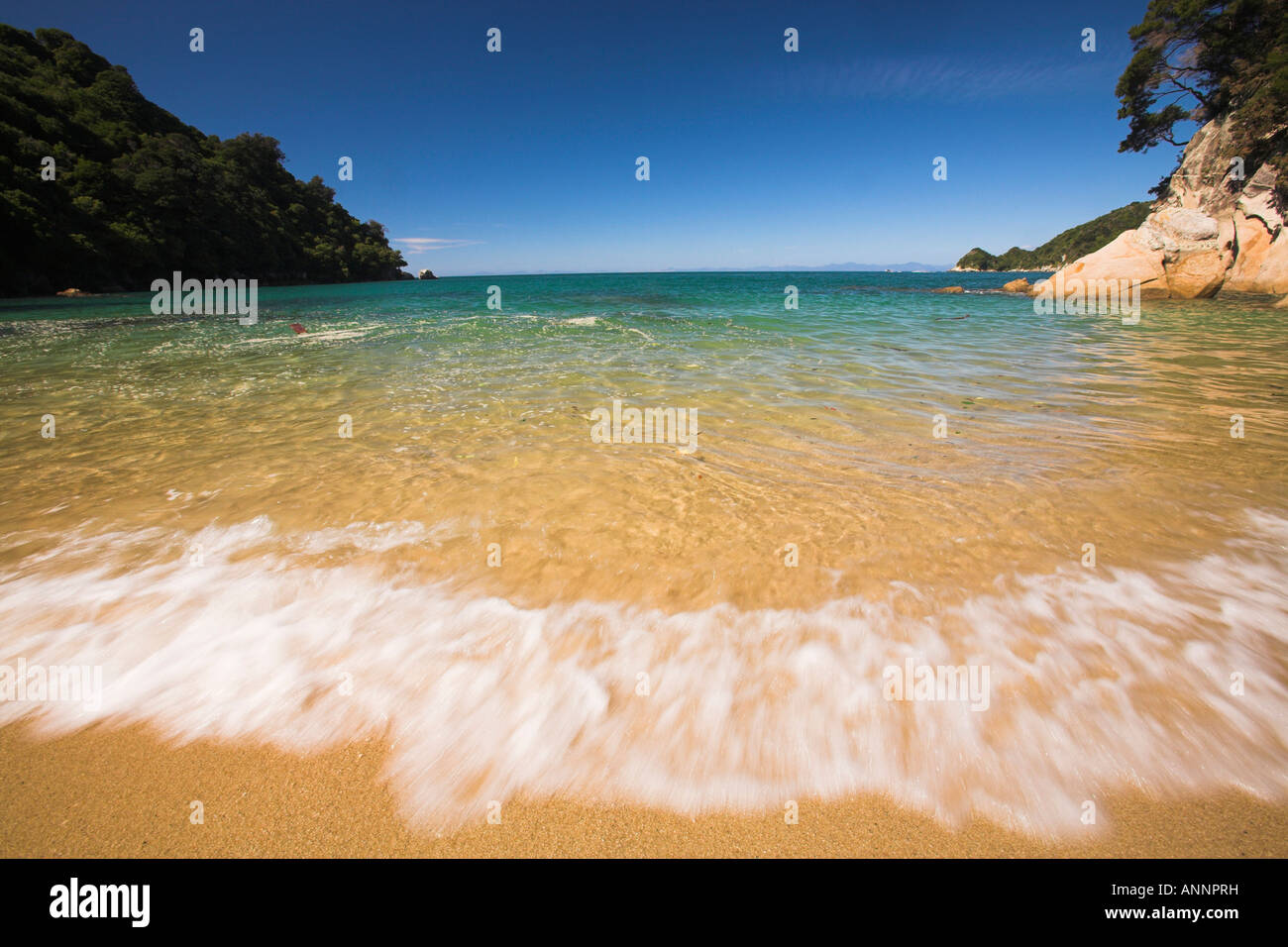 Honeymoon Bay Abel Tasman National Park Stock Photo - Alamy