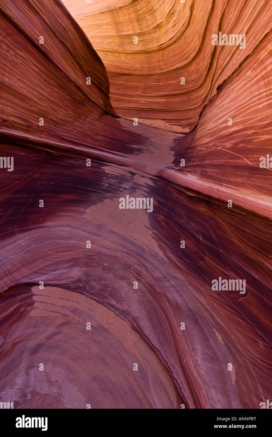 Artistic view of the abstract, wind-eroded sandstone formation of the ...