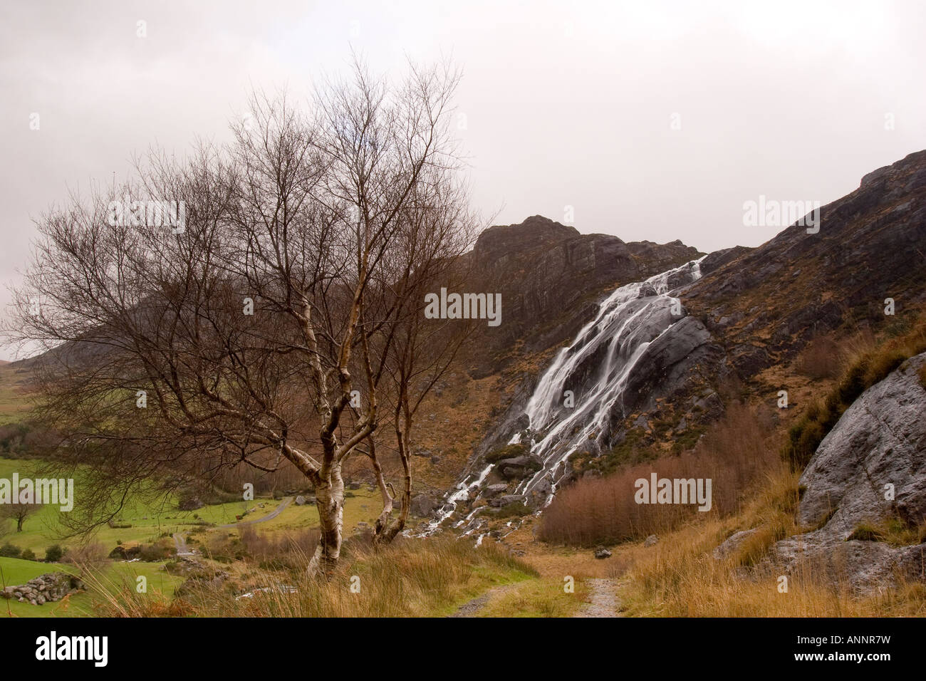 Waterfall creating a small mountain stream in Co. Kerry, Ireland Stock ...