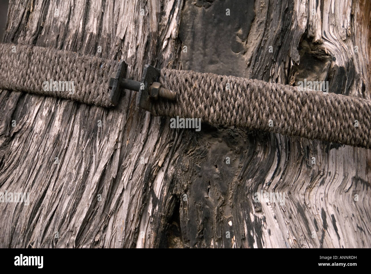 A sisal wrapped iron band prevent the spread of a split in an ancient ...