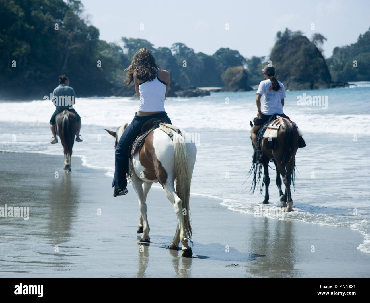 Rear view of three people riding horses on the beach Stock Photo - Alamy