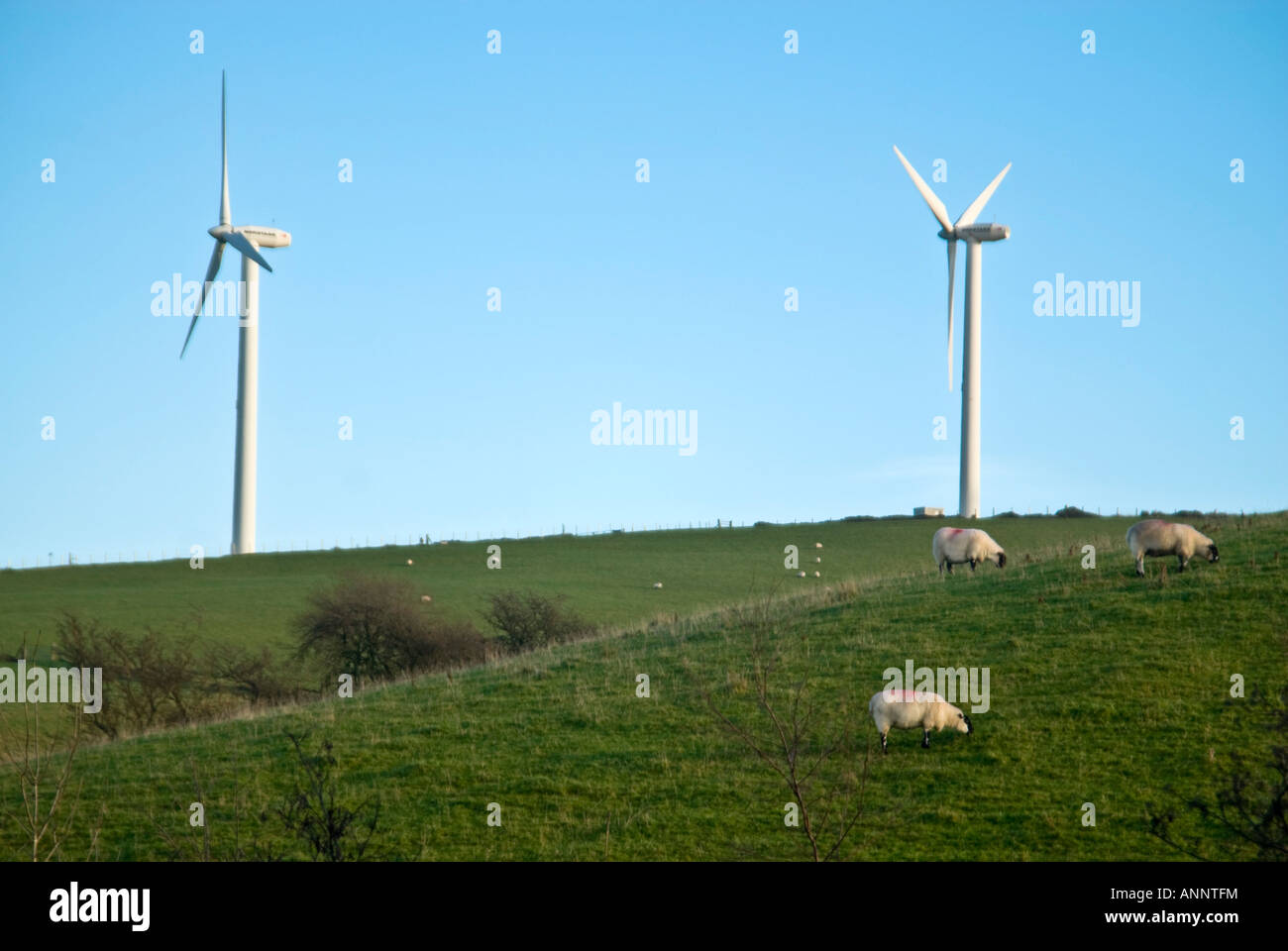 Horizontal wide angle of common three bladed wind turbines perched on a ...