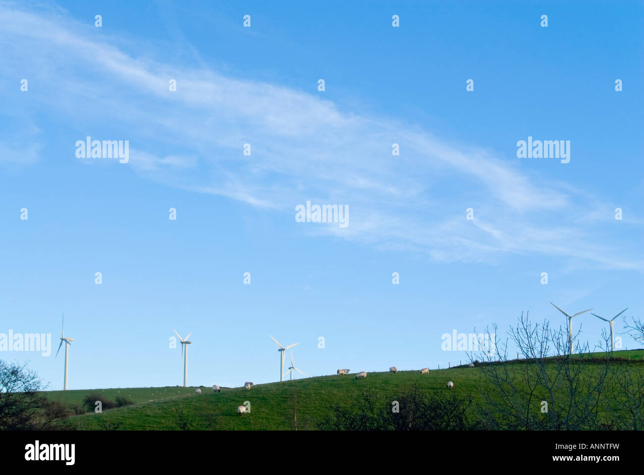 Horizontal wide angle of common three bladed wind turbines perched on a ...