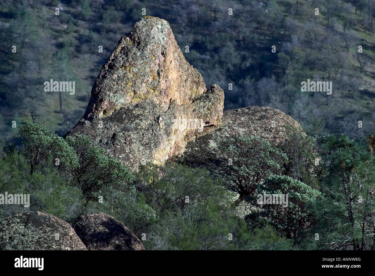 Rock formation at Pinnacles National Monument Stock Photo - Alamy
