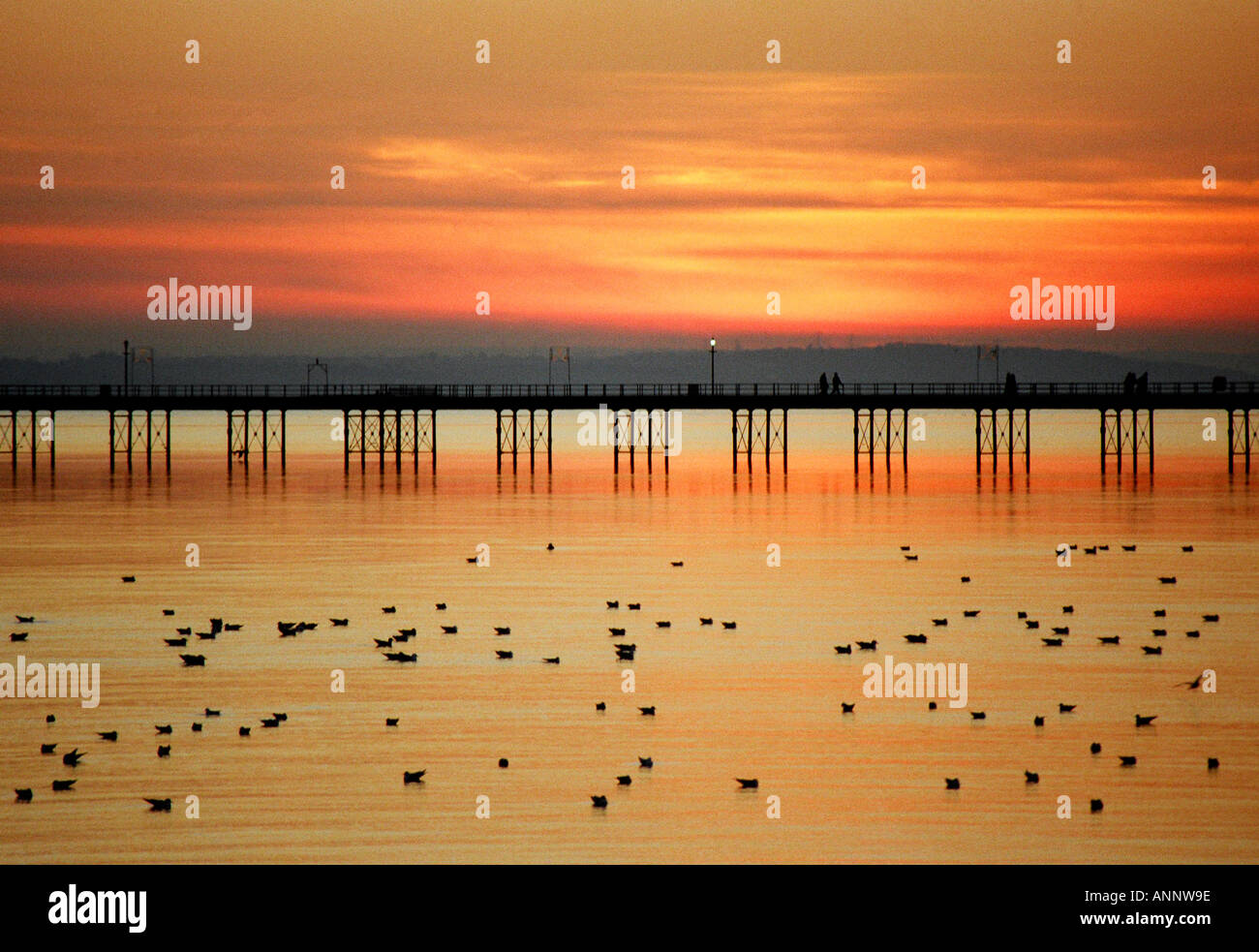 Pier southend on sea thames hi-res stock photography and images - Alamy