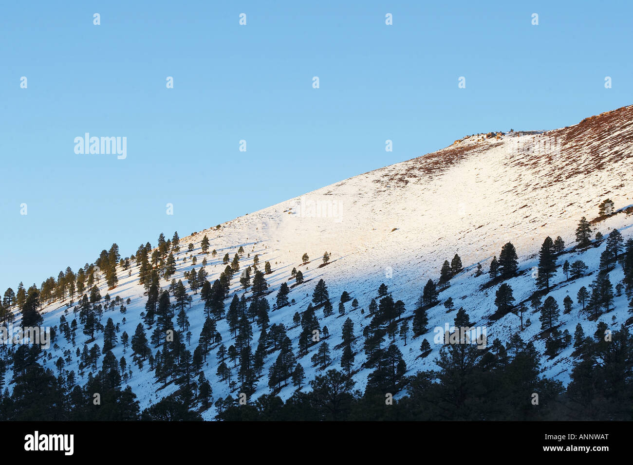 Sunset Crater, Northern Arizona Stock Photo - Alamy