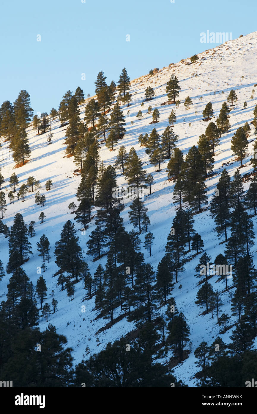 Sunset Crater, Northern Arizona Stock Photo - Alamy