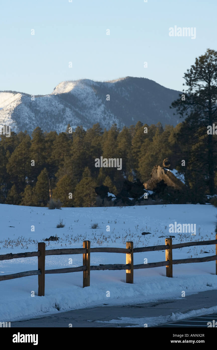 Snowflake arizona landscape hi-res stock photography and images - Alamy