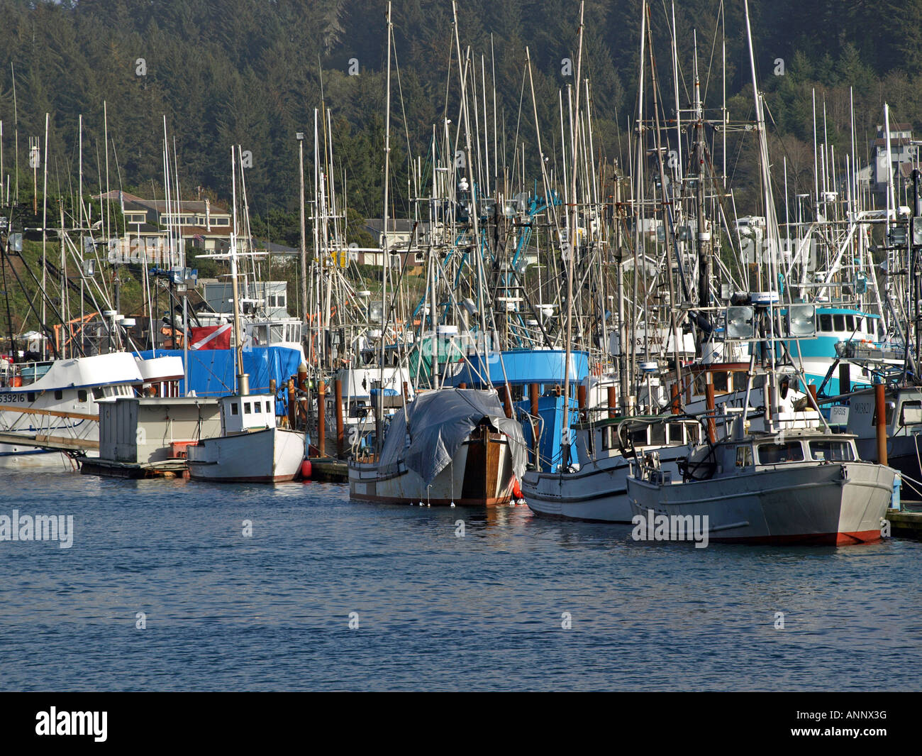 Boats docked in Newport, Oregon Stock Photo - Alamy