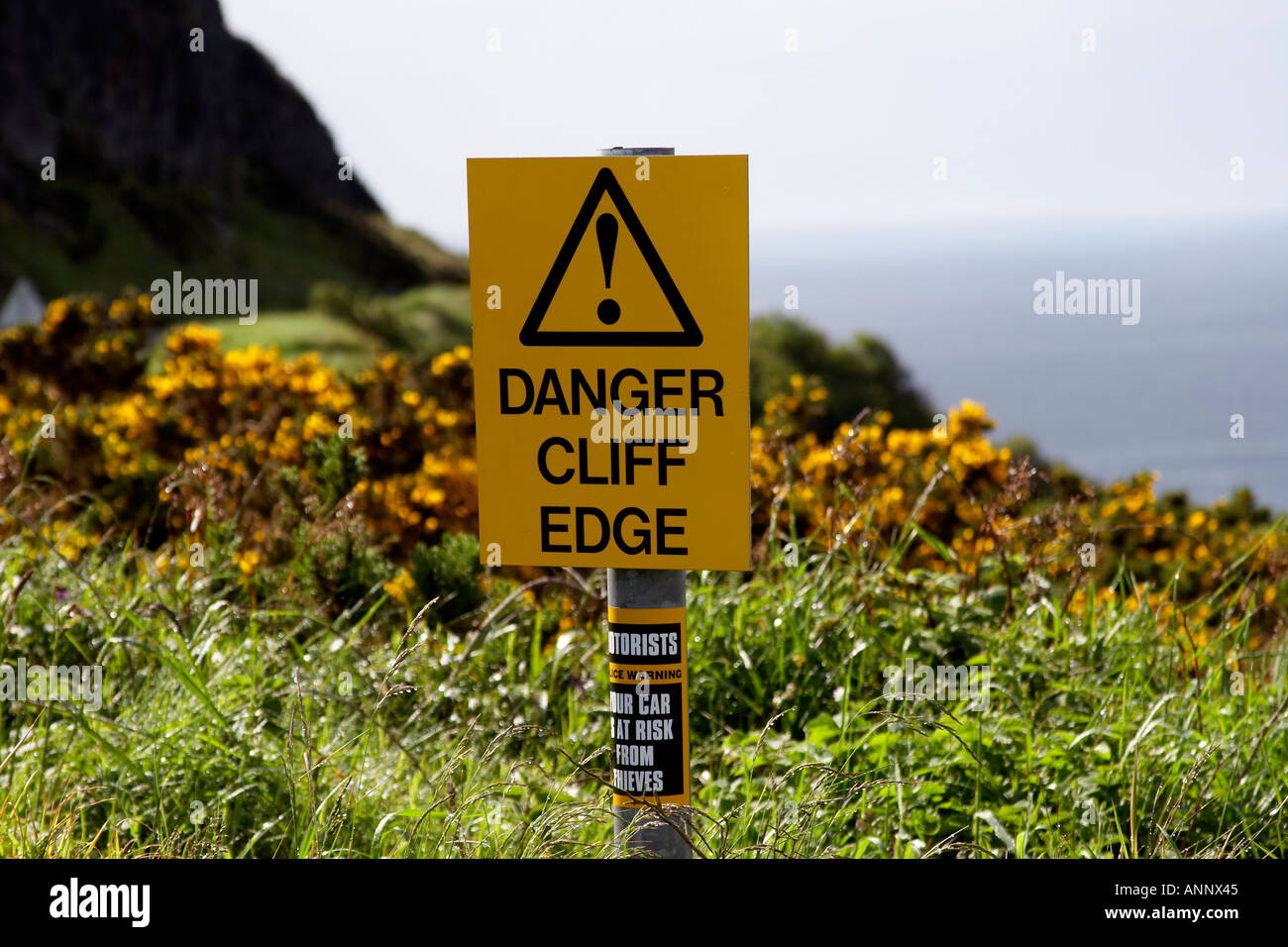 Danger Cliff Edge sign with gorse on the north coast of County Antrim ...