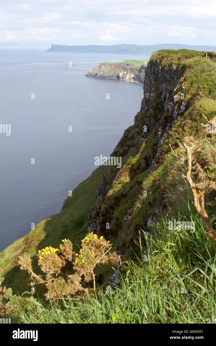 Benmore fair head hi-res stock photography and images - Alamy