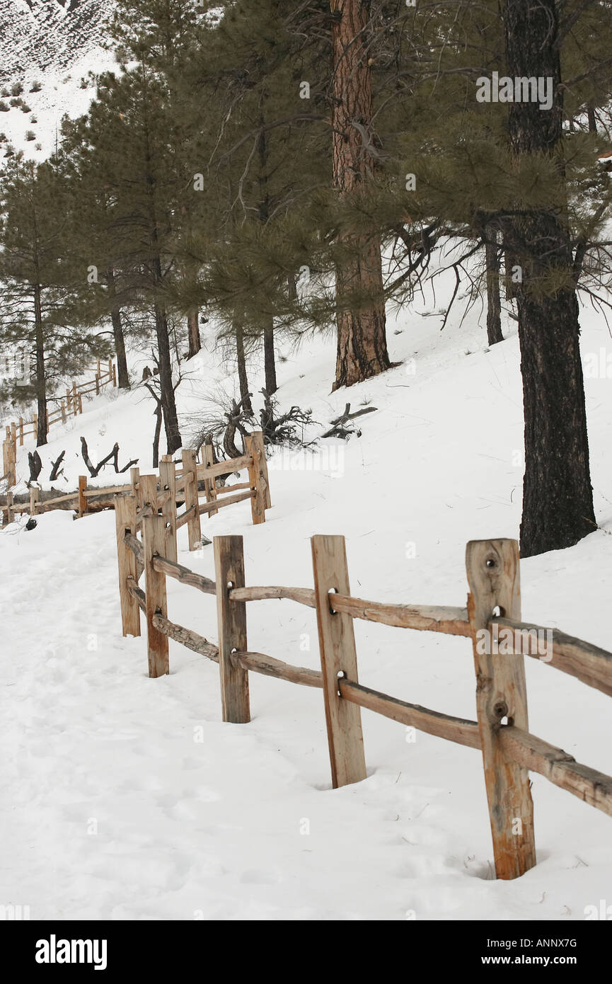 Sunset Crater, Northern Arizona Stock Photo - Alamy