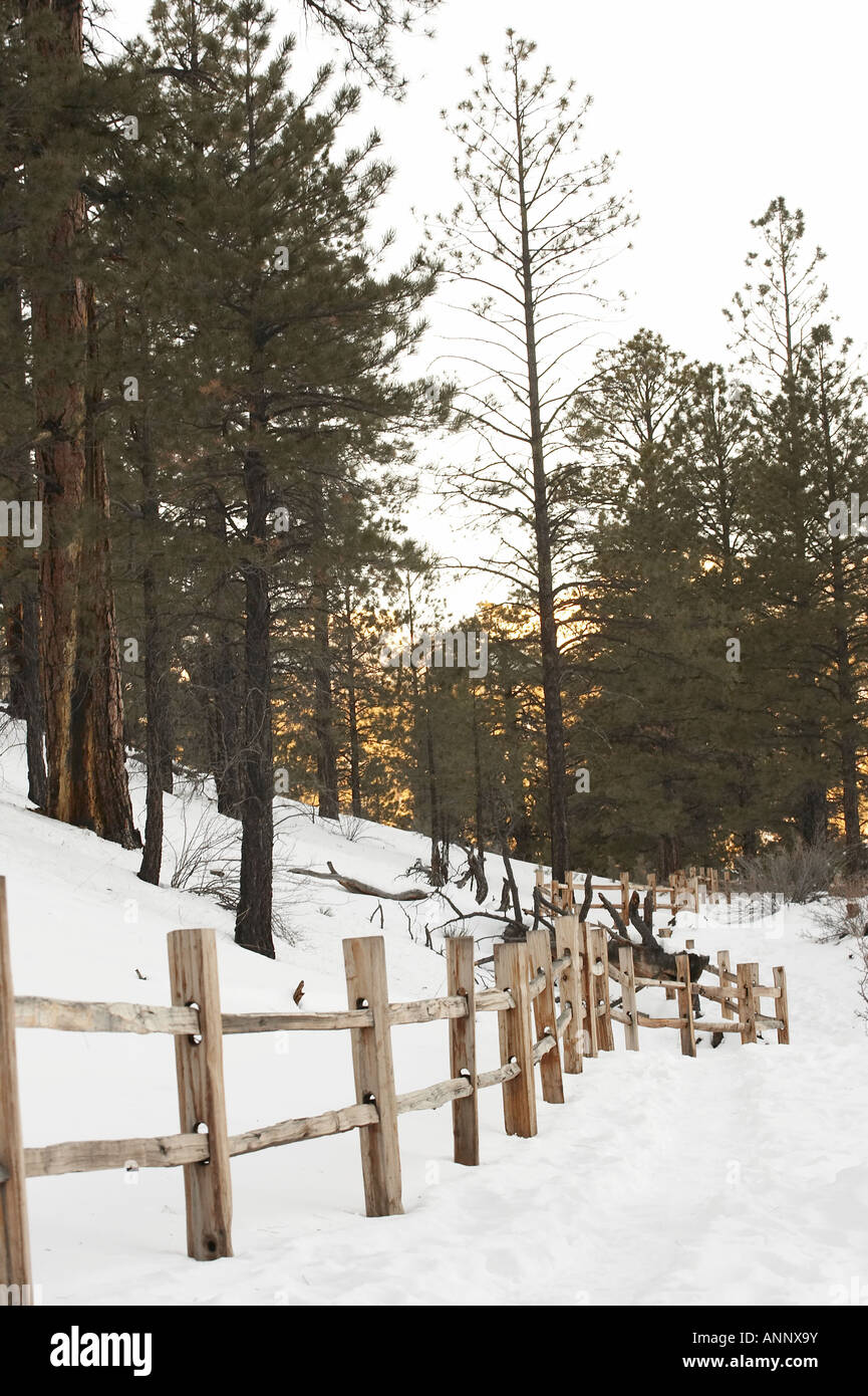 Sunset Crater, Northern Arizona Stock Photo - Alamy