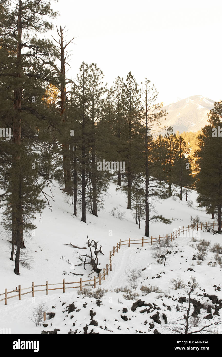 San francisco peak sunset crater hi-res stock photography and images ...