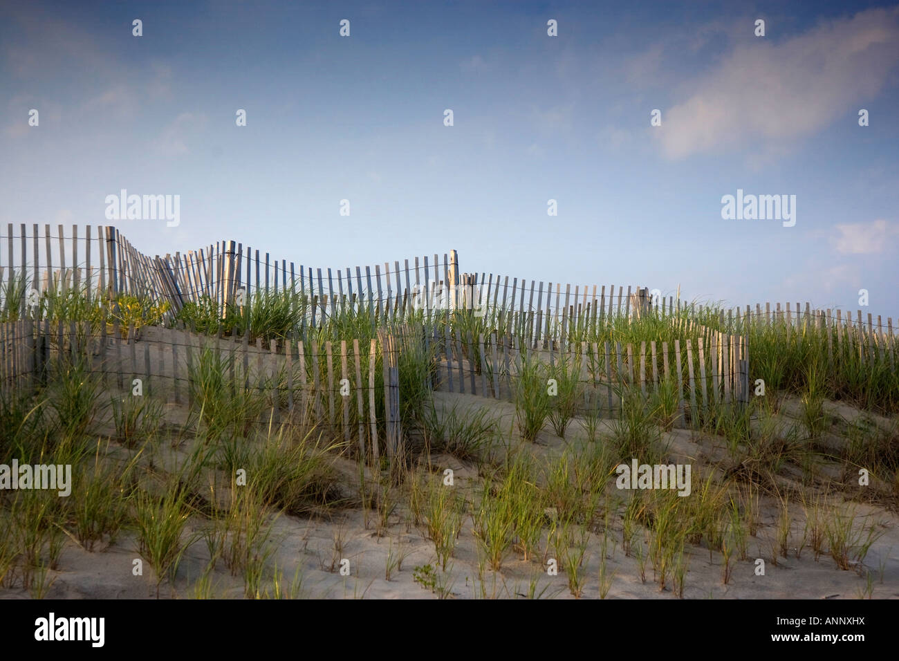 Dunes with fences to help prevent erosion Stock Photo - Alamy
