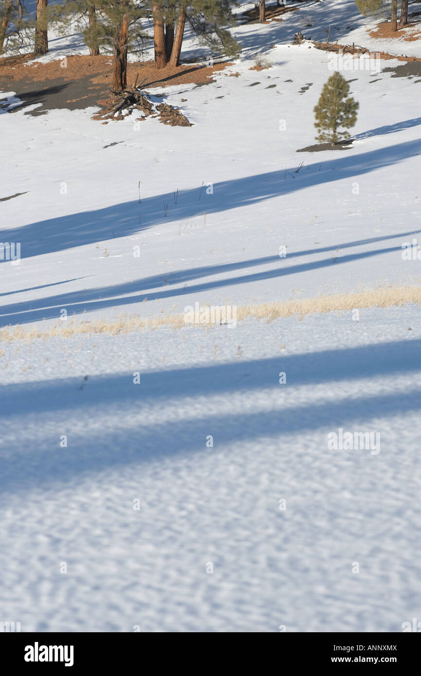 San francisco peak sunset crater hi-res stock photography and images ...