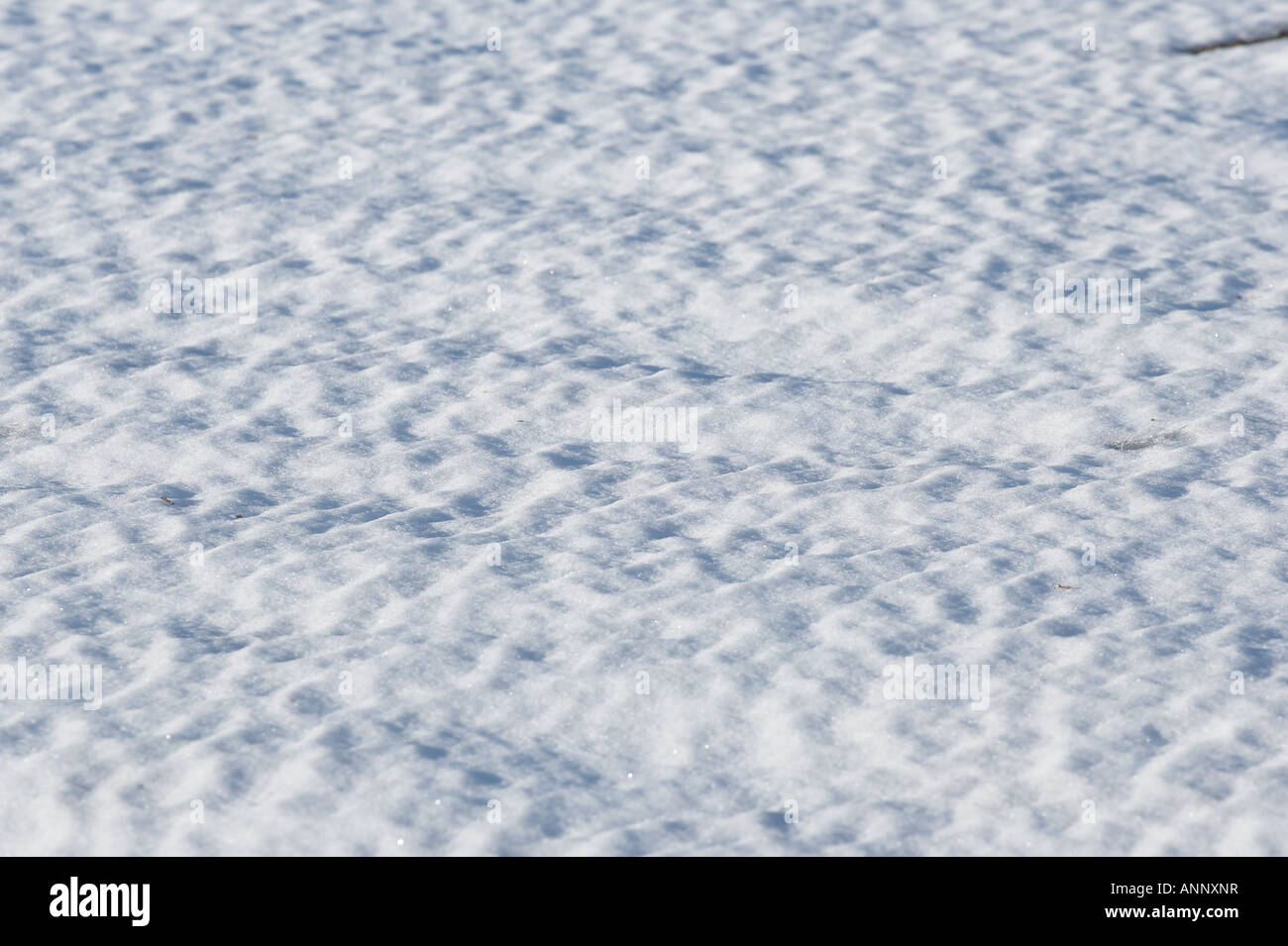 San francisco peak sunset crater hi-res stock photography and images ...