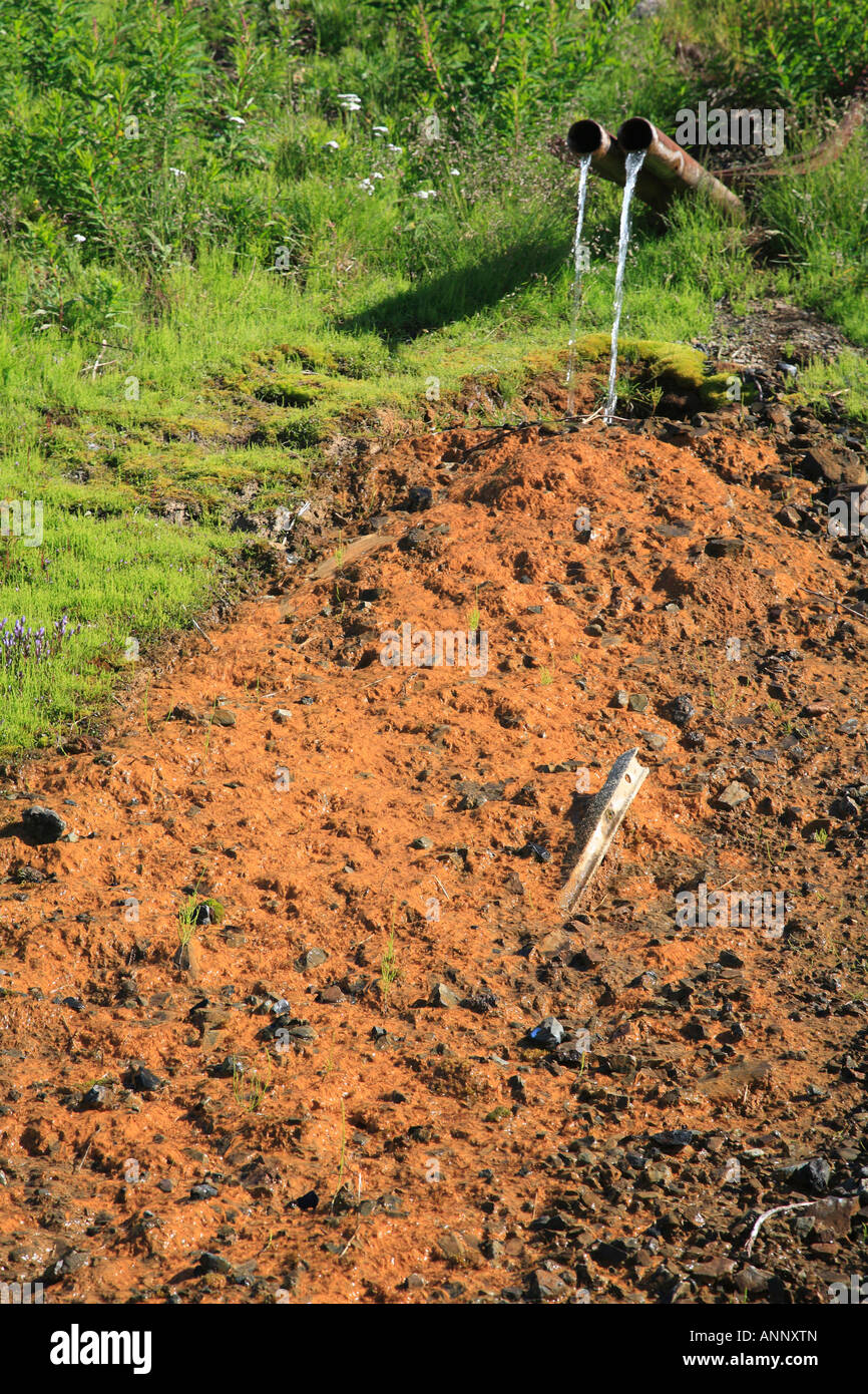 Discoloring hi-res stock photography and images - Alamy