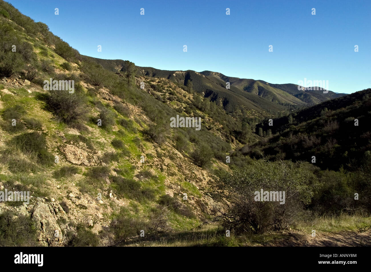 Valley with foliage at Pinnacles National Monument Stock Photo - Alamy