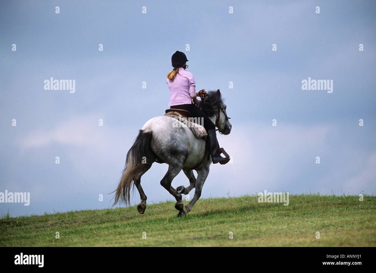 Arravani with rider Stock Photo - Alamy