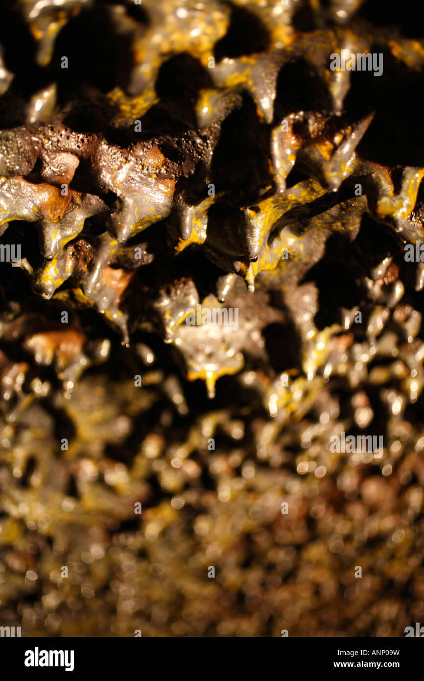 Inside Gruta do Carvao lava tube cave Sao Miguel island Azores islands ...