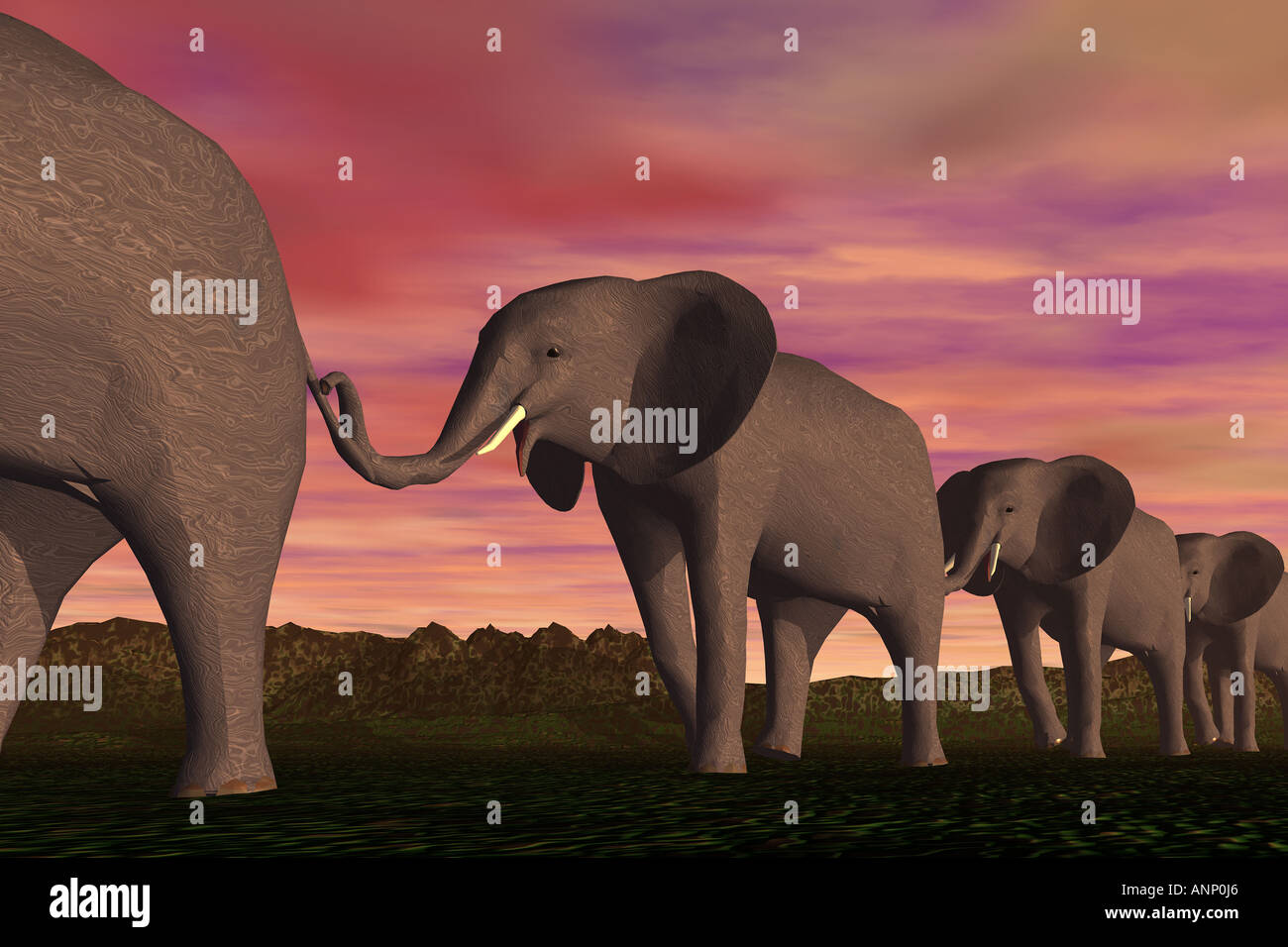 Four elephants walking in a row Stock Photo - Alamy