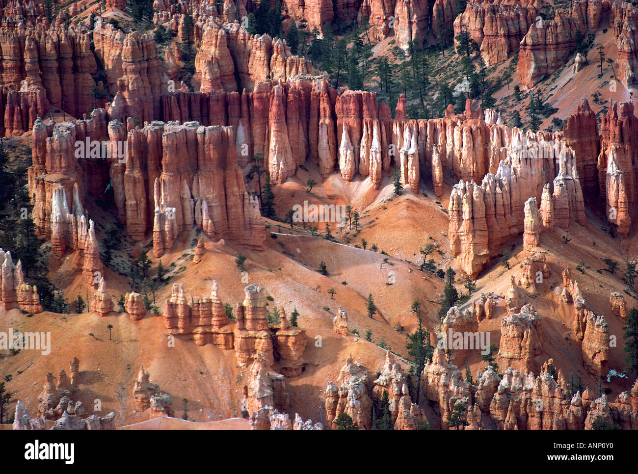 Aerial view of a canyon Stock Photo - Alamy