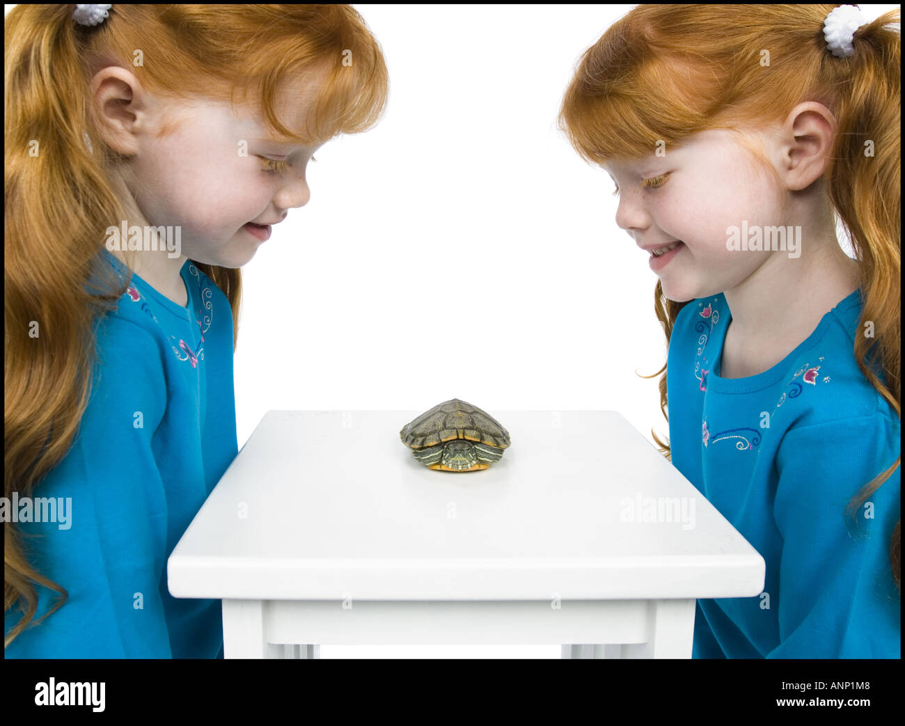 Profile of two girls looking at a tortoise Stock Photo - Alamy