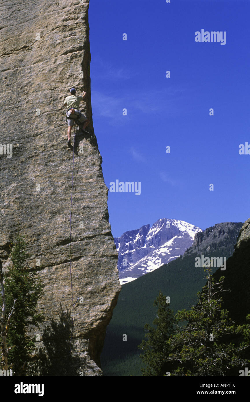 Tree climbing strategy hi-res stock photography and images - Alamy