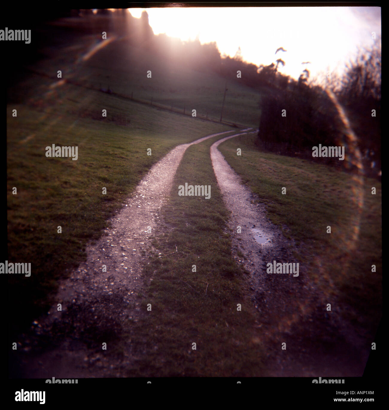 A farm yard track in a field England UK Stock Photo - Alamy