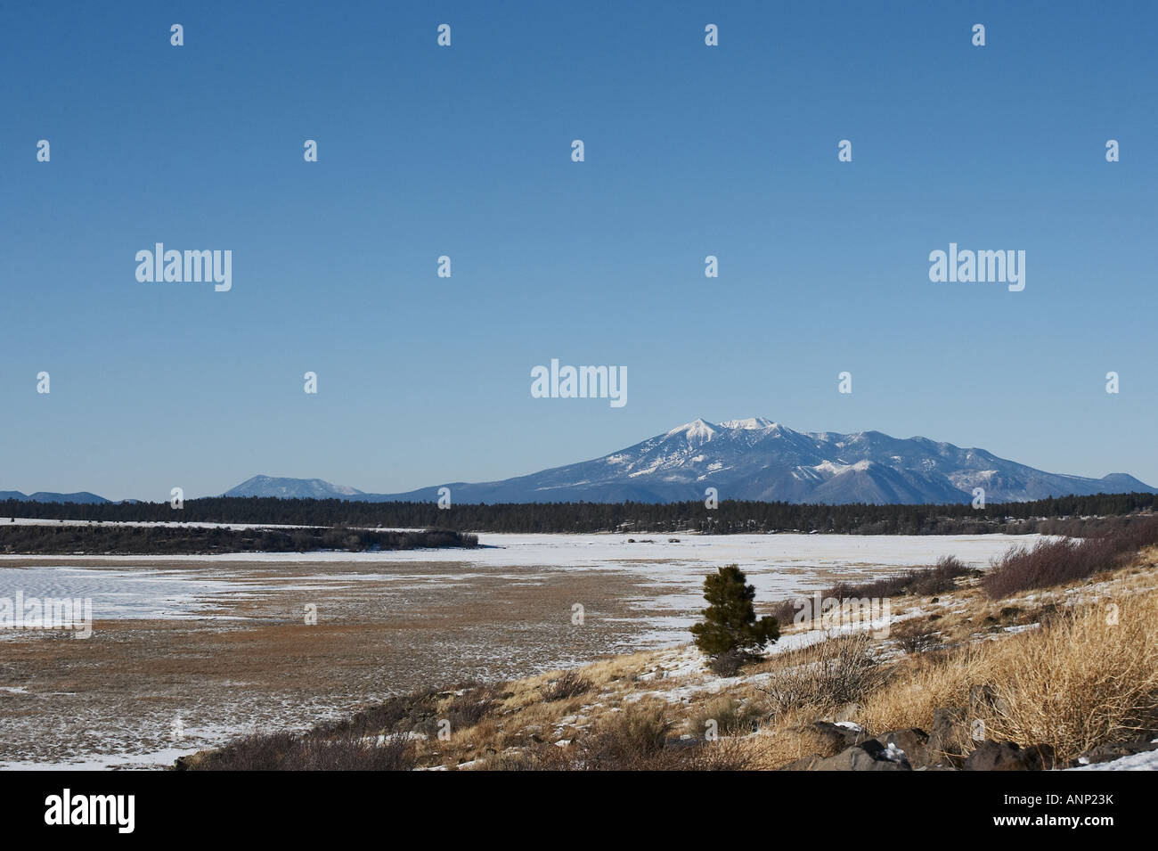 Mormon Lake Arizona High Resolution Stock Photography and Images - Alamy