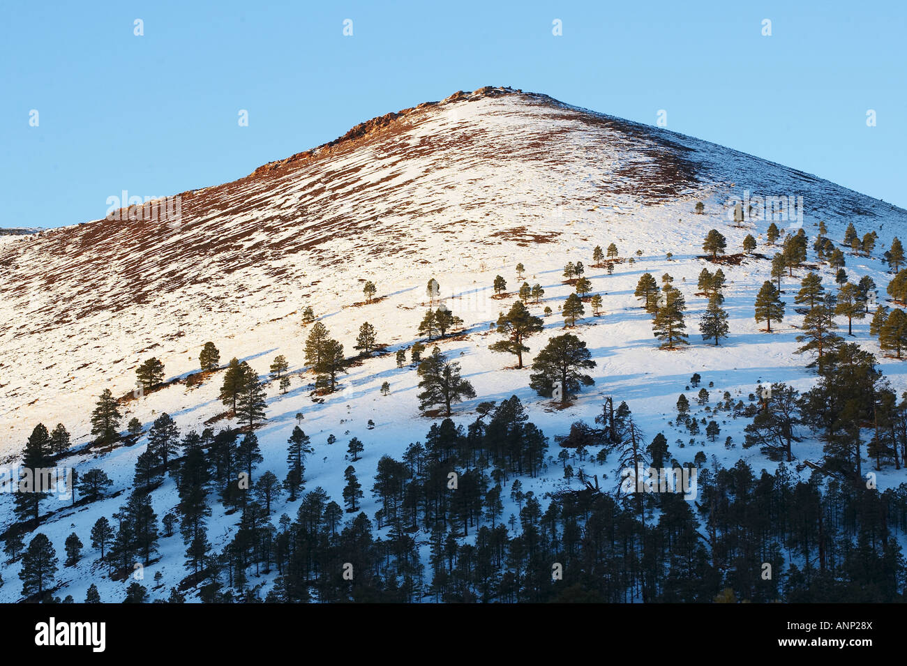 Sunset Crater, Northern Arizona Stock Photo - Alamy