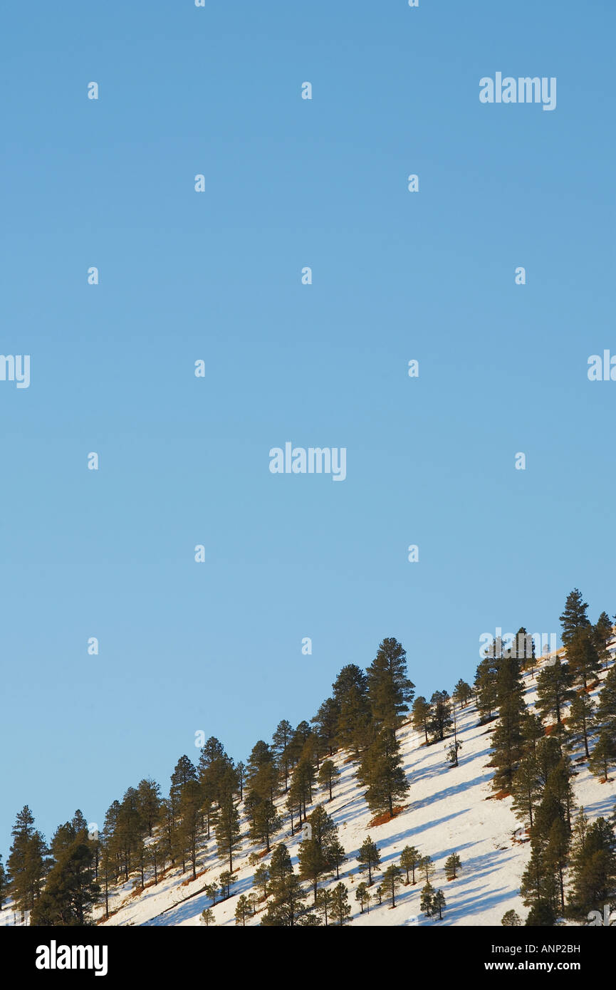 Sunset Crater, Northern Arizona Stock Photo - Alamy