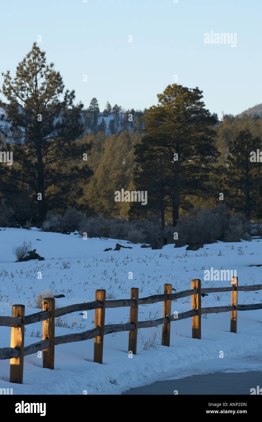 Sunset Crater, Northern Arizona Stock Photo - Alamy