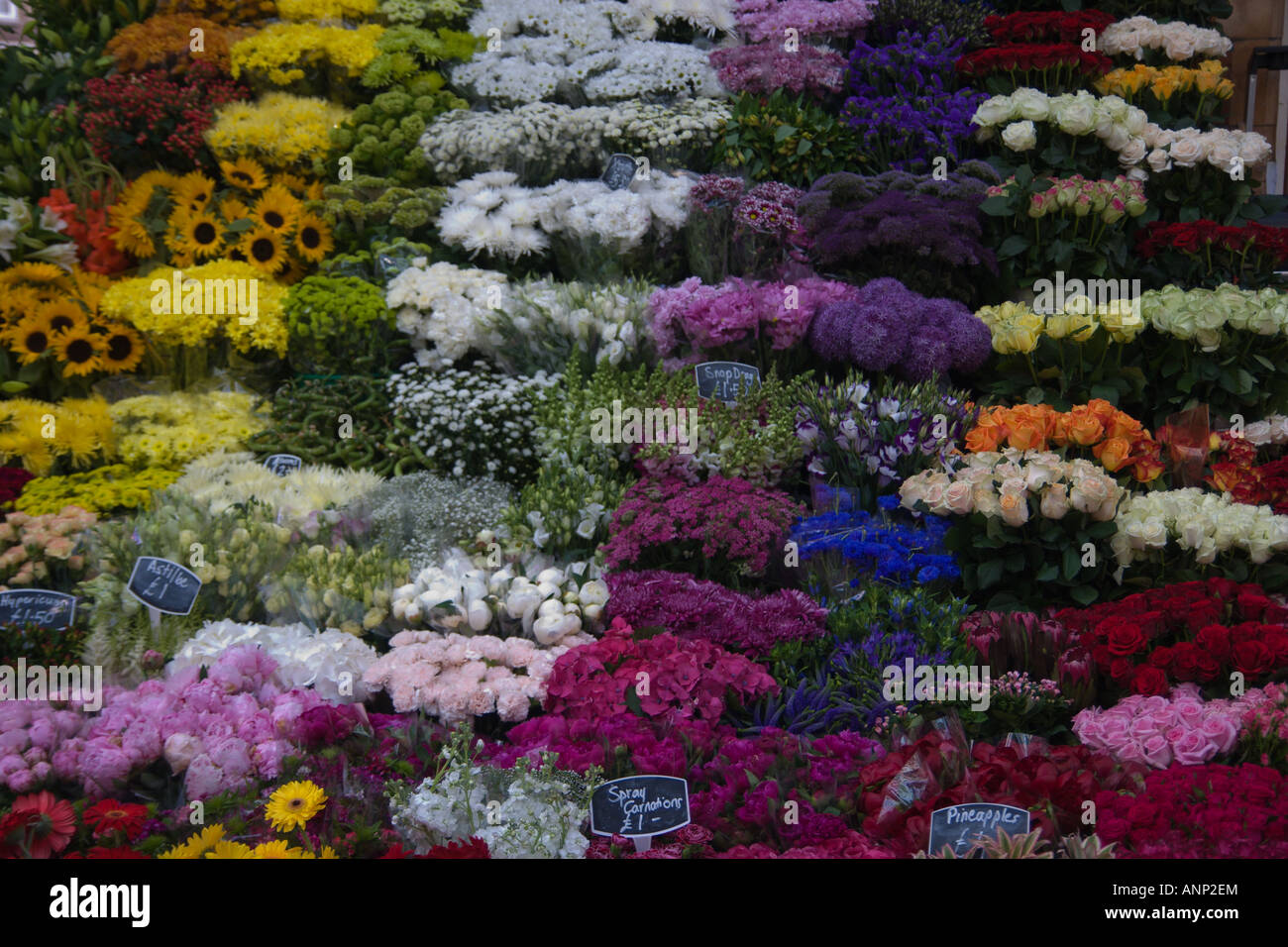Railway station flower stall Stock Photo - Alamy