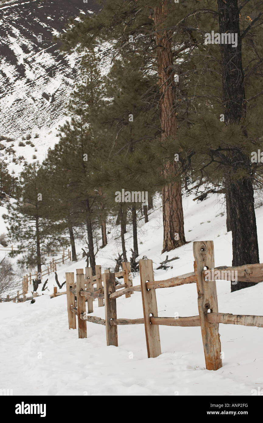 Sunset Crater, Northern Arizona Stock Photo - Alamy