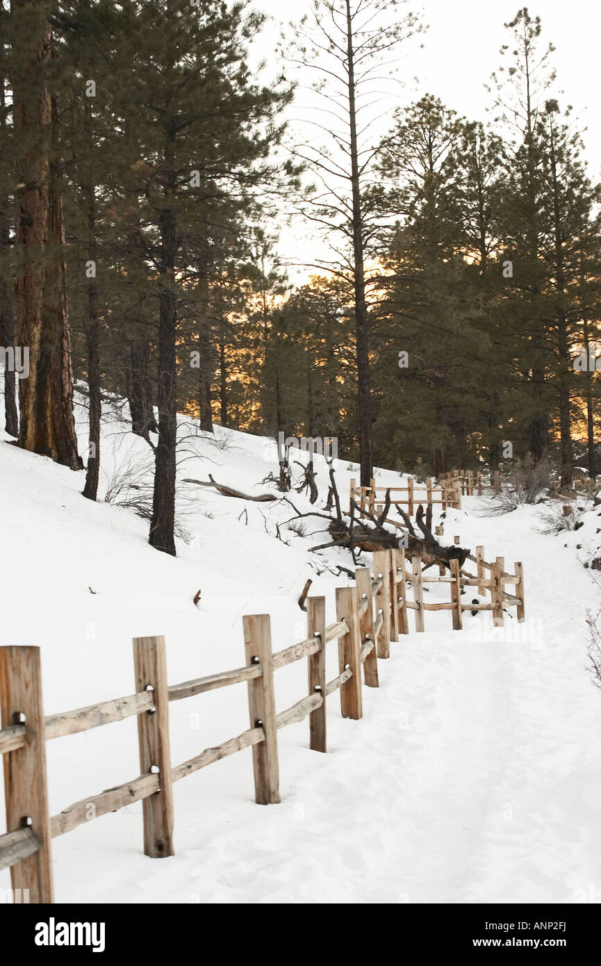 Snowflake arizona landscape hi-res stock photography and images - Alamy