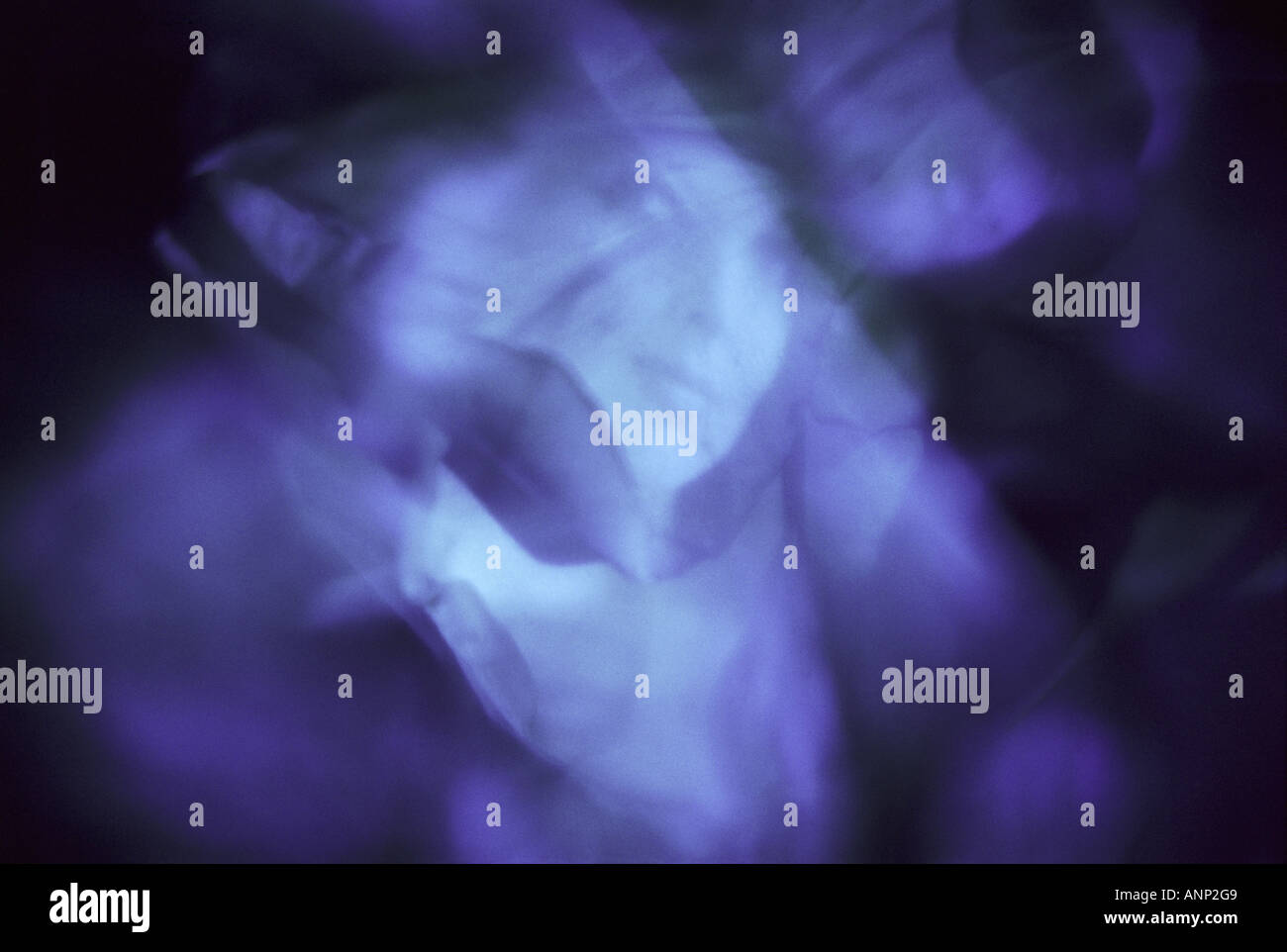 Reflection of a woman s face Stock Photo - Alamy