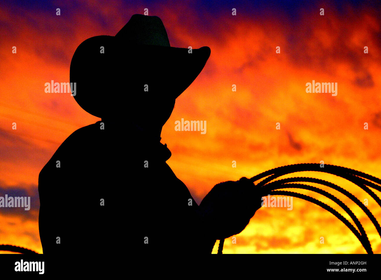 Jackaroo at Australian Rodeo Stock Photo - Alamy