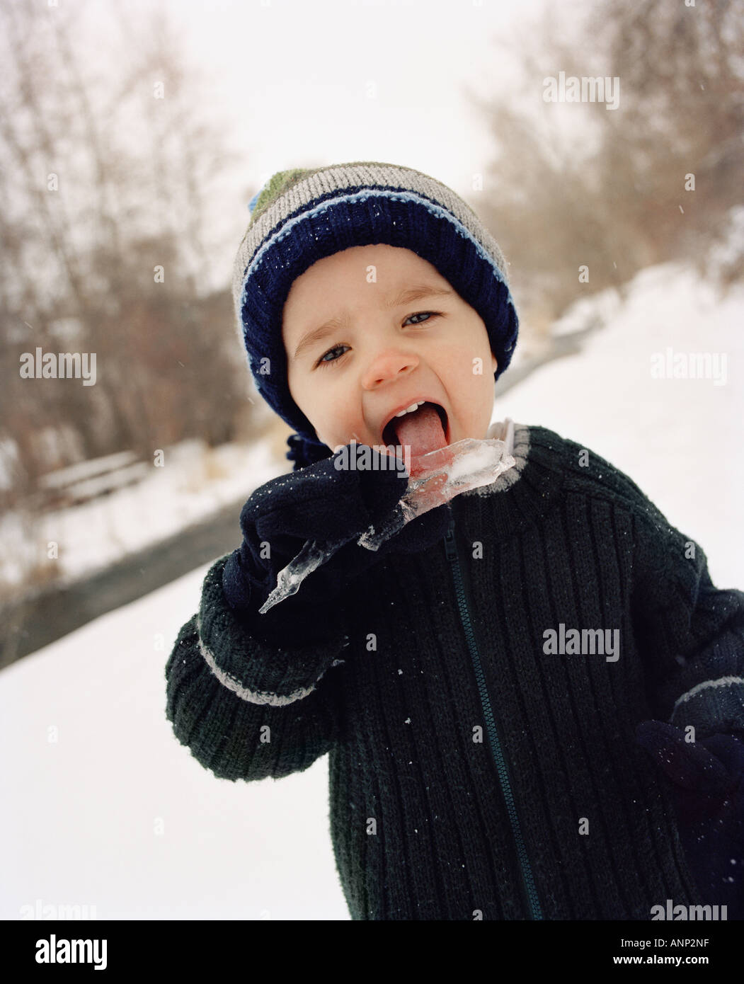 Portrait of a boy licking an icicle Stock Photo - Alamy