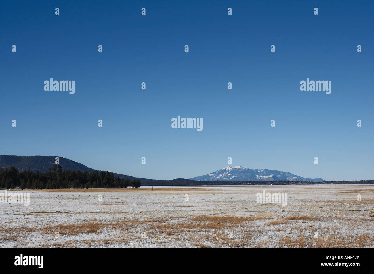 Mormon lake arizona hi-res stock photography and images - Alamy