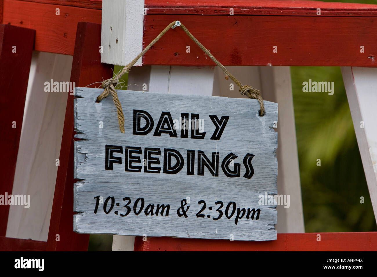 Daily Feedings Sign Stock Photo - Alamy