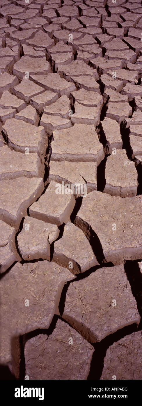 dry cracked river bed, Udaipur lake Stock Photo - Alamy