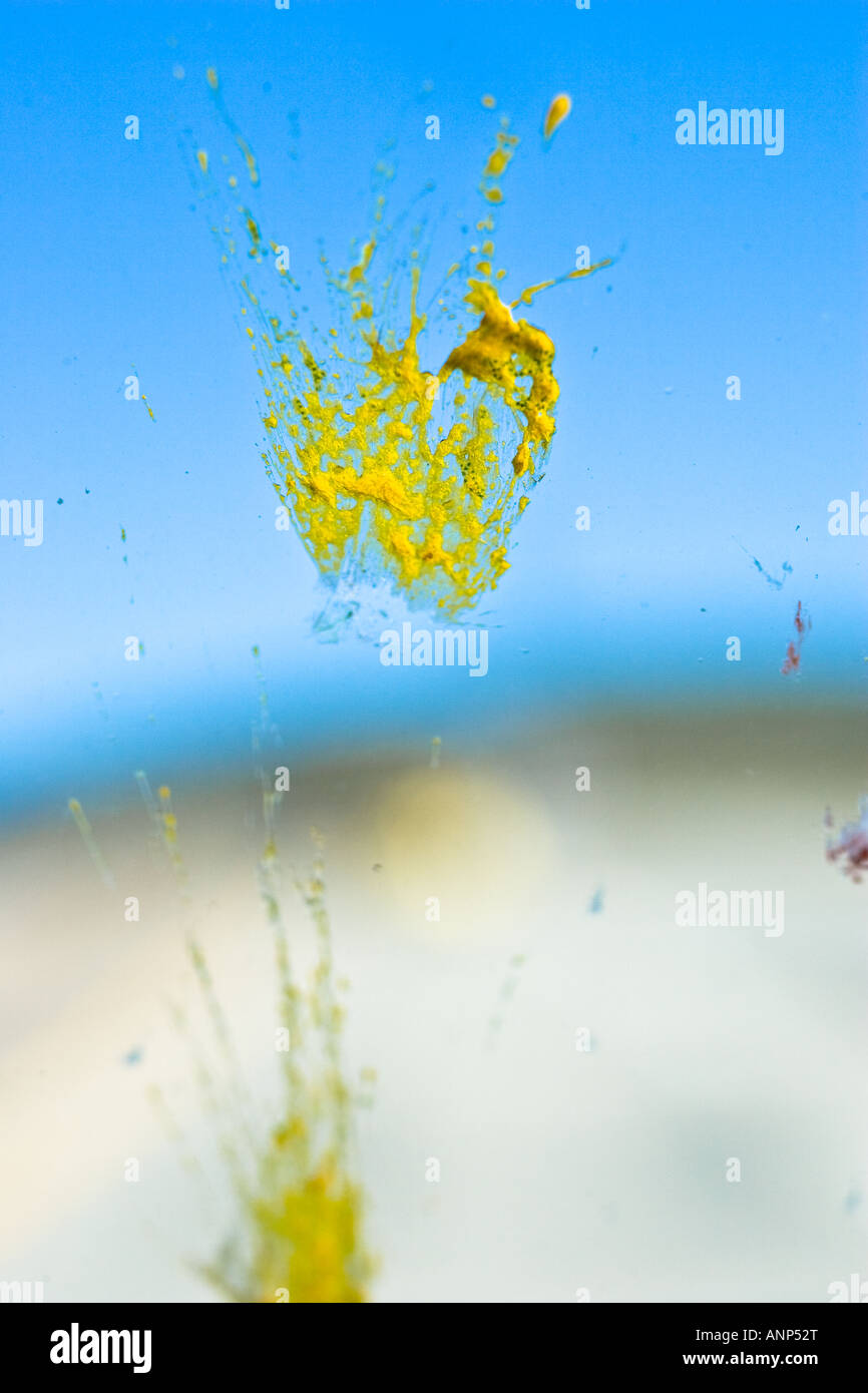Dead bugs are splattered all over the windshield of a car during a road ...