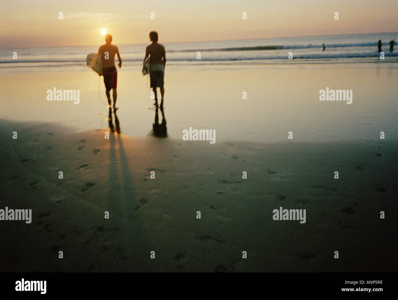 Rear view of two surfers walking on the beach Stock Photo - Alamy