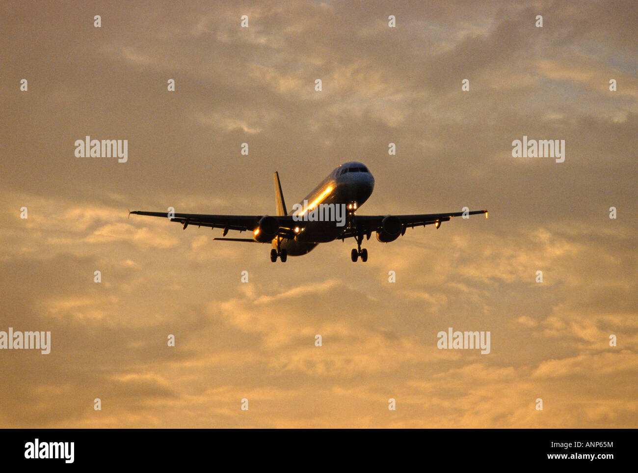 Airbus A320 is Approaching to Land at Sunset Stock Photo - Alamy