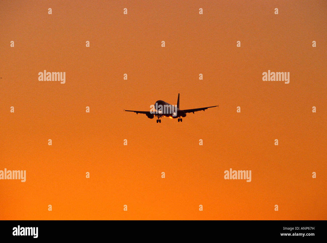 Airbus A320 is Approaching to Land at Sunset Stock Photo - Alamy