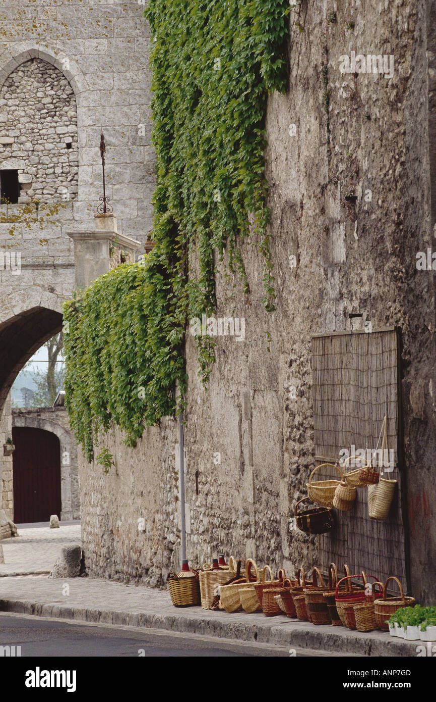 Hanging vines arch hi-res stock photography and images - Alamy