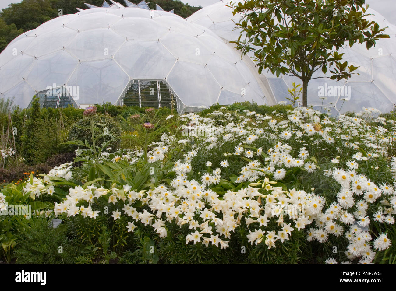 Glass biomes hi-res stock photography and images - Alamy