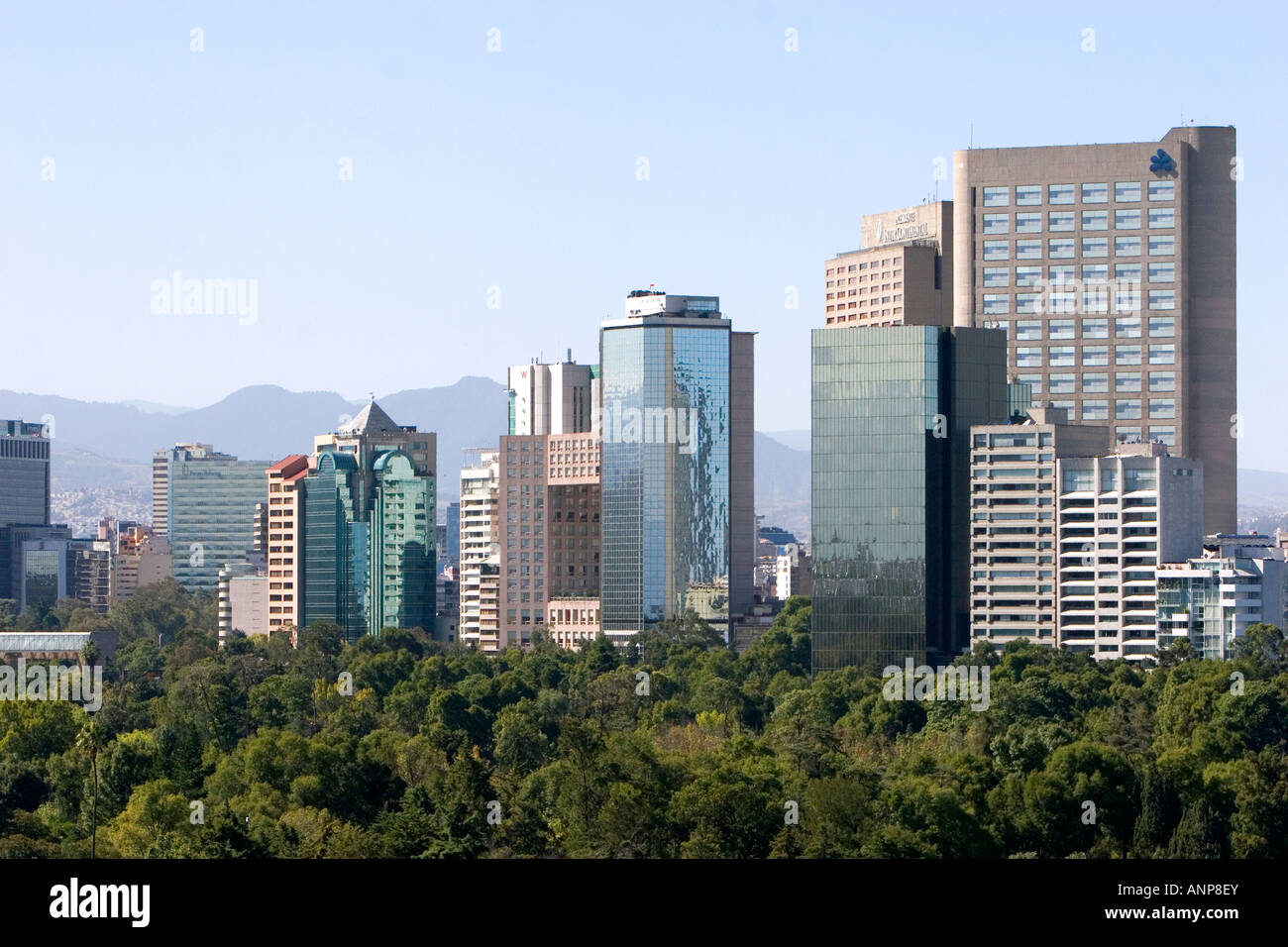 High rise buildings in Mexico City Mexico Stock Photo - Alamy